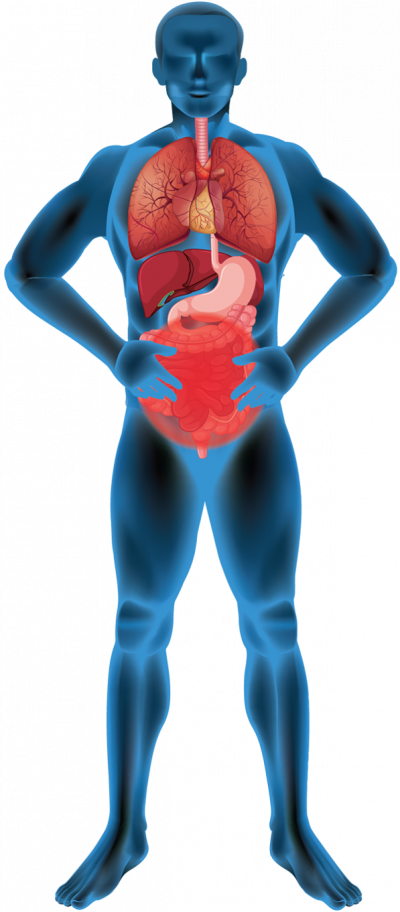 Selenium: Health Benefits, Deficiency Symptoms,Vegan Foods,Daily Intake